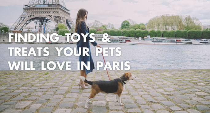 Finding Toys and Treats Your Pet Will Love in Paris