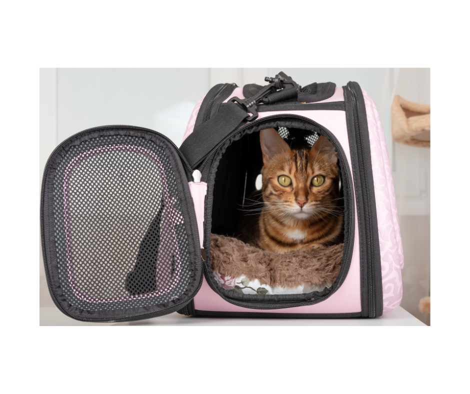 The Best Airline-Approved Travel Carriers for Cats and Dogs
