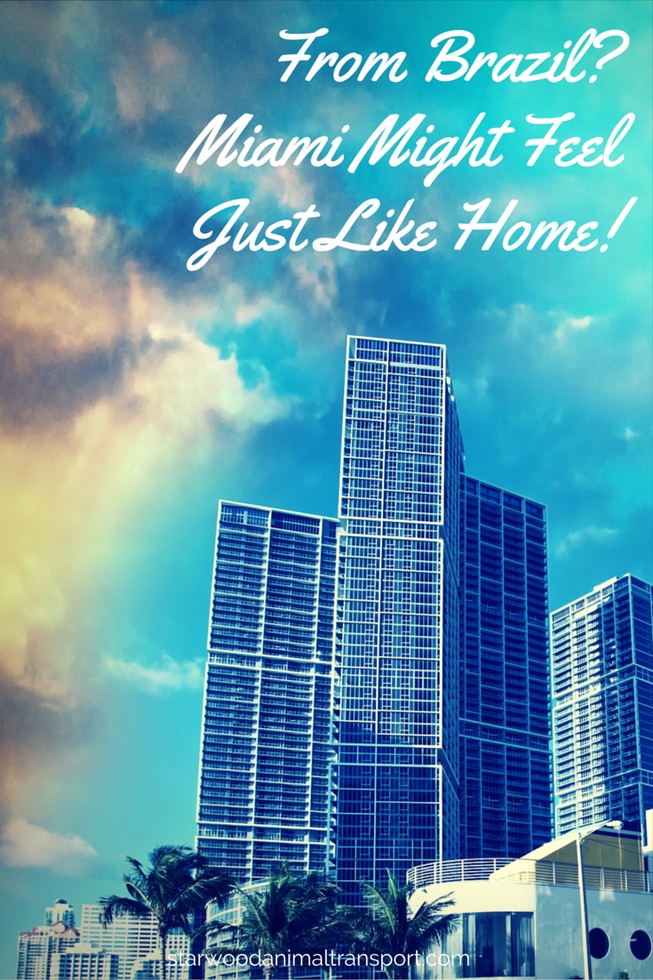 6 Things That Make Miami Feel Like Home To Brazilians