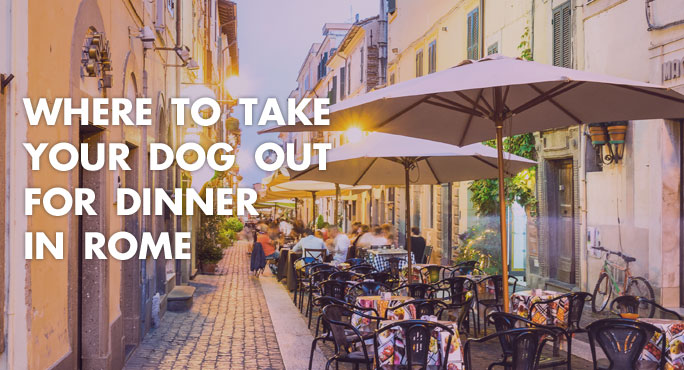 Where to Take Your Dog Out for Dinner in Rome