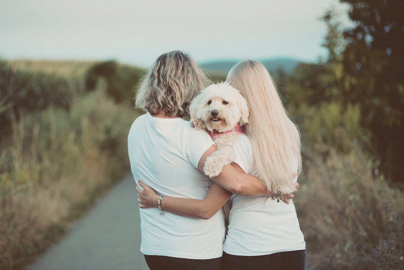 Complete Guide to Flying with Dogs | Starwood Pet Travel